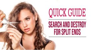 How to Search and Destroy Split Ends Right
