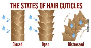 Detecting Different Types Of Split Ends And Banishing Them